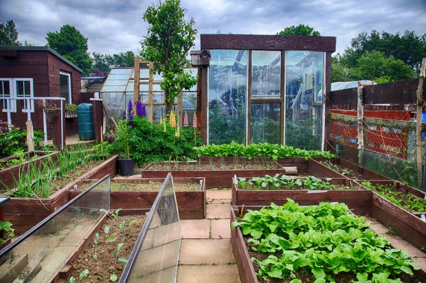 Agrihood: HOA with a working farm • Independent American Communities